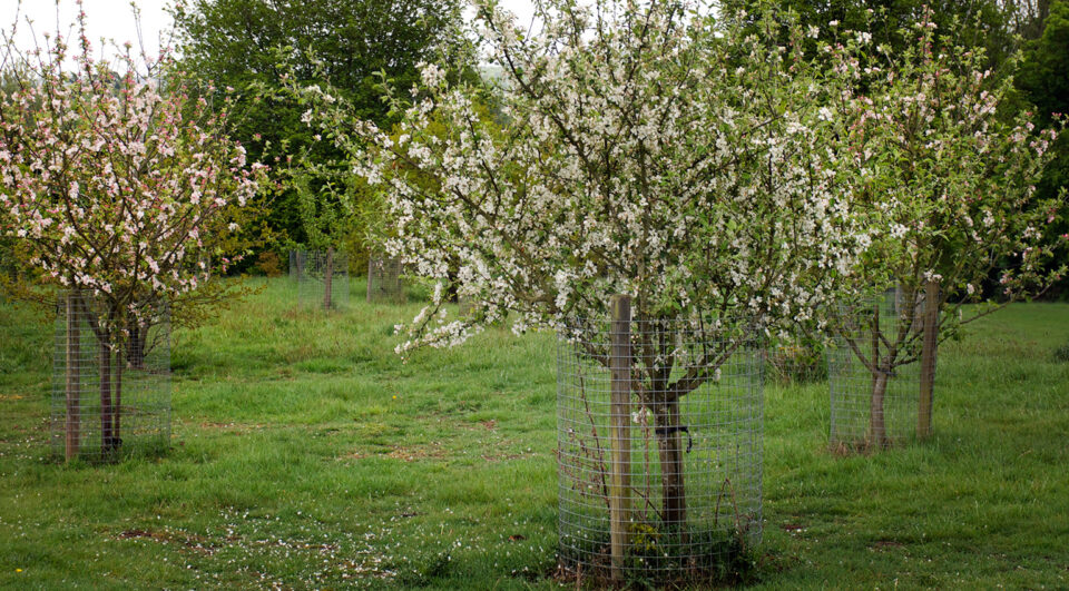Projects - Sustainable Chesham