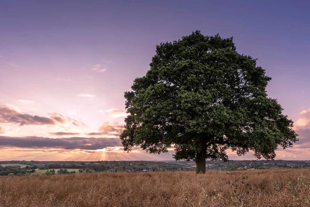 Home - Sustainable Chesham